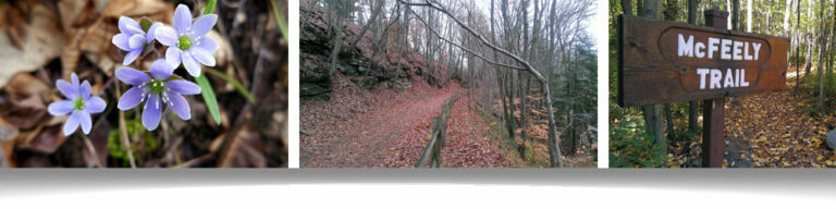Hiking Trails | Indiana County Parks & Trails