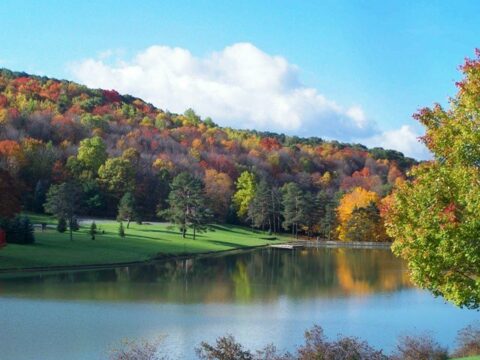 Blue Spruce Park Photo Gallery - Indiana County Parks