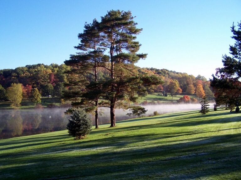 Blue Spruce Park Photo Gallery - Indiana County Parks