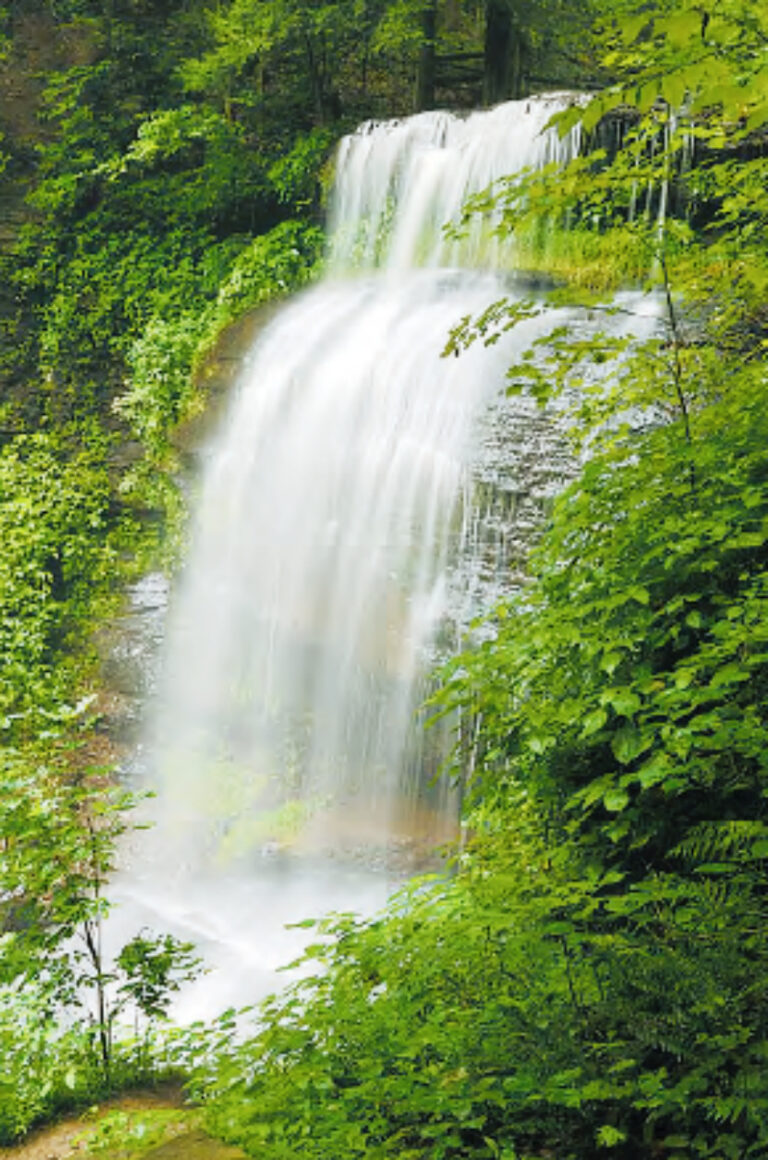 Blacklick Valley Natural Area