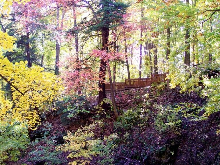 Blacklick Valley Natural Area