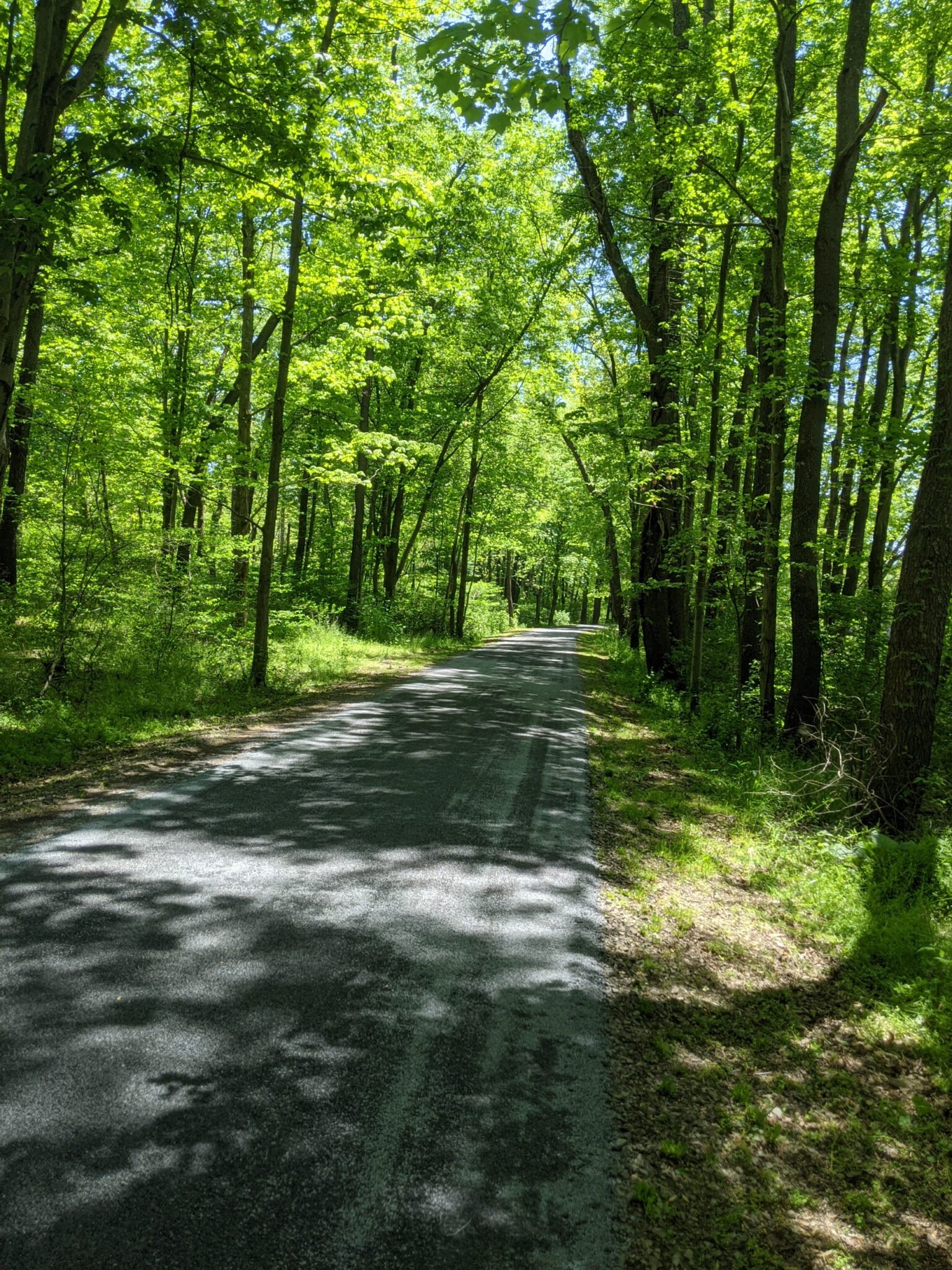 Hoodlebug Trail Flipbook | Indiana County Parks & Trails