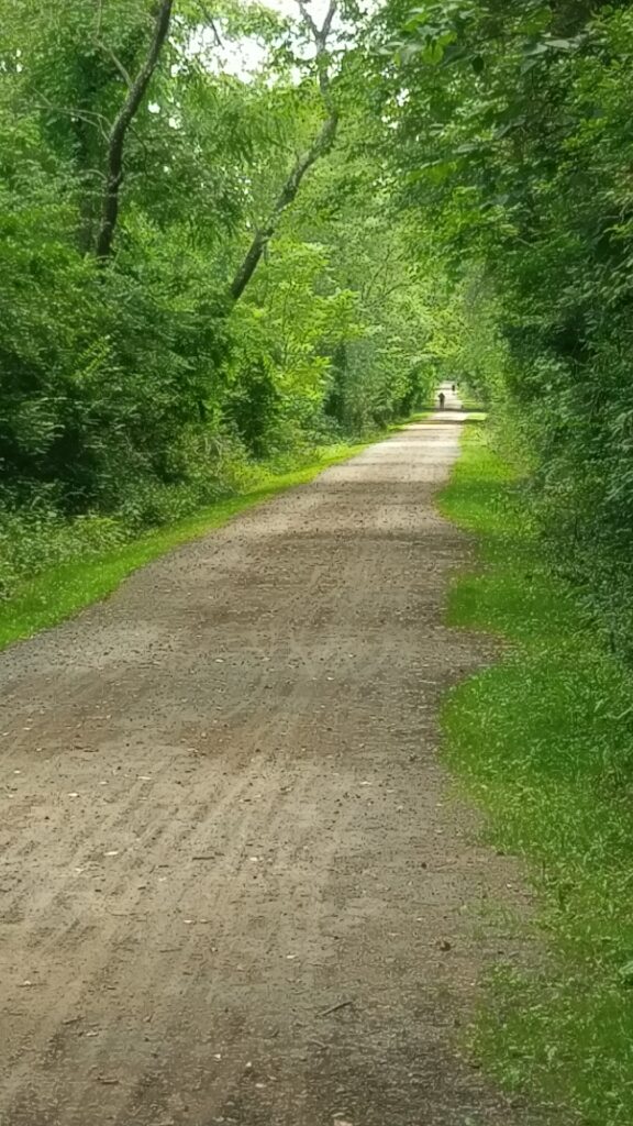 Hoodlebug Trail Photo Gallery