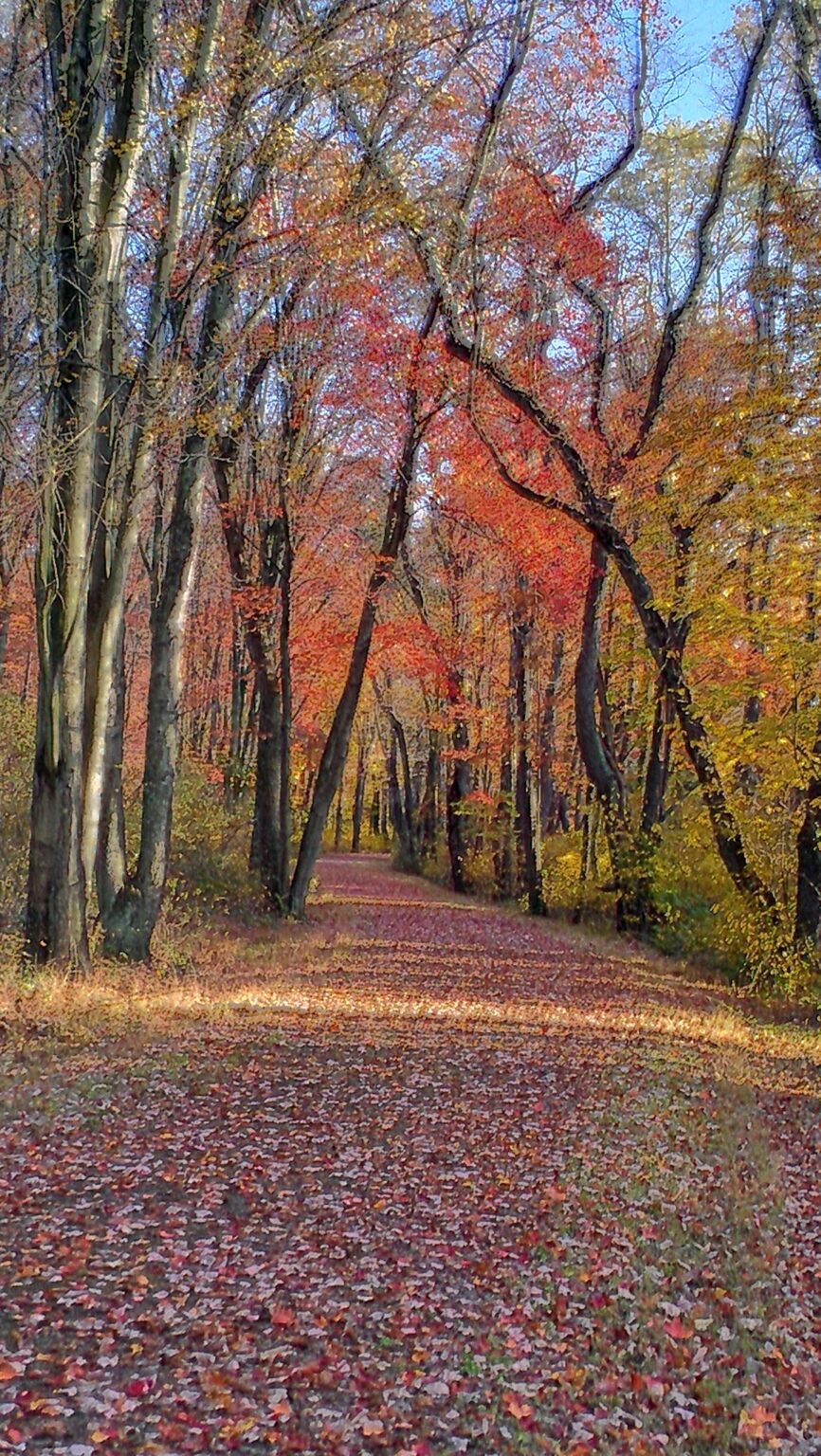 Hoodlebug Trail Photo Gallery