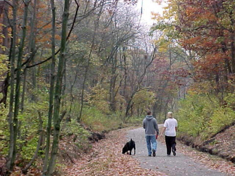 Hoodlebug Trail Photo Gallery