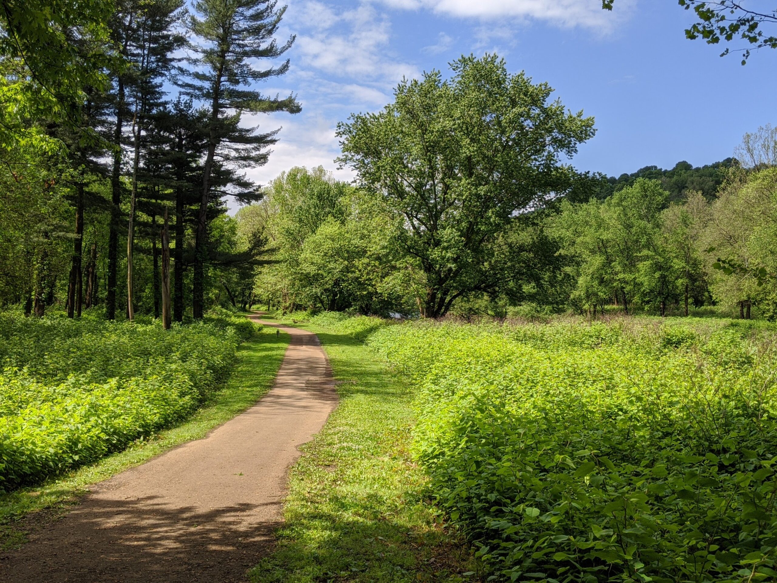 Parks and Trail Regulations - Indiana County Parks