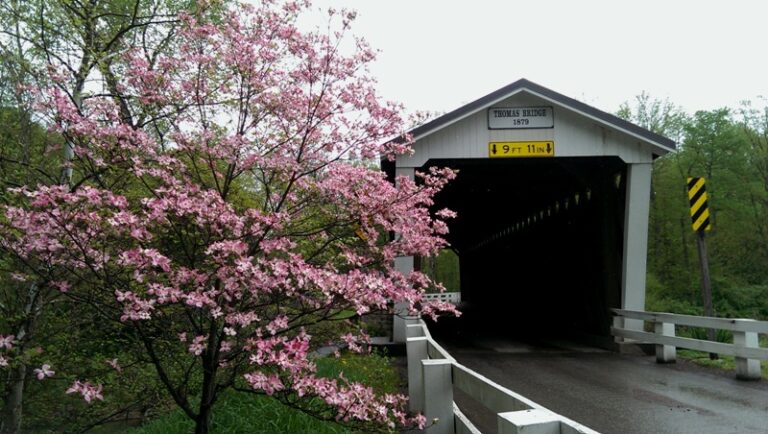 Thomas Bridge Photo Gallery