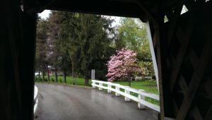 Thomas Bridge Photo Gallery