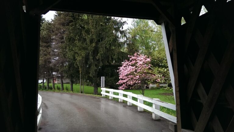 Thomas Bridge Photo Gallery